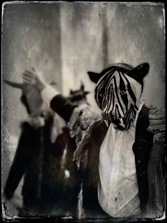 Neil Sloman Photography | Tin Type Tiger (Thanks to Huw Locke ...